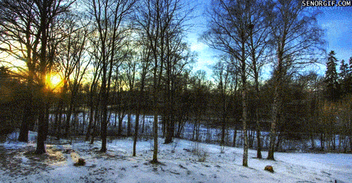 Spring summer fall winter and spring GIF - Conseguir o melhor gif em GIFER