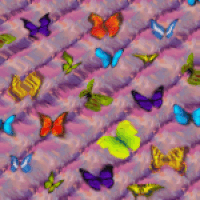 Exotic GIFs - Get the best gif on GIFER