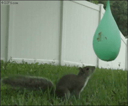 Water balloon GIF - Conseguir o melhor gif em GIFER