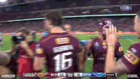 Pato GIFs - Get the best gif on GIFER