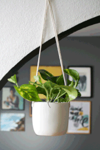 Hanging GIFs - Get the best gif on GIFER