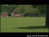 Wheeeee GIFs - Get the best gif on GIFER