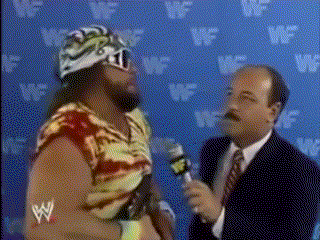 Midsentence GIFs - Get the best gif on GIFER