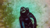 Scuba diving GIFs - Get the best gif on GIFER