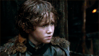 Bran GIFs - Get the best gif on GIFER