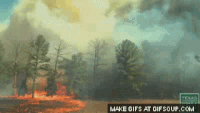 Wildfires GIFs - Get the best gif on GIFER