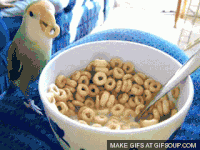 Cheerio GIFs - Get the best gif on GIFER