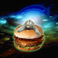 Sloth GIFs - Get the best gif on GIFER