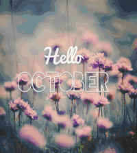 October GIFs - Get the best gif on GIFER