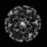 Cinder GIFs - Get the best gif on GIFER