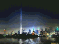 Trafico GIFs - Get the best gif on GIFER