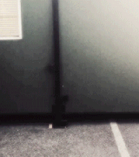 Hoppers GIFs - Get the best gif on GIFER
