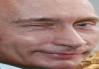 Vladimir putin GIFs - Get the best gif on GIFER