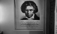 Beethoven GIFs - Get the best gif on GIFER