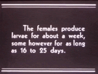 Larvae GIFs - Get the best gif on GIFER