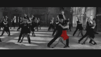 Tango GIFs - Get the best gif on GIFER