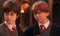 Harry GIFs - Get the best gif on GIFER