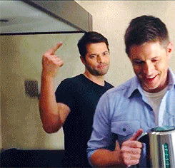 Misha GIFs - Get the best gif on GIFER