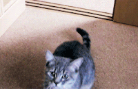 Suppliers GIFs - Get the best gif on GIFER