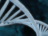 Dna GIFs - Get the best gif on GIFER