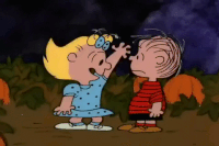 Linus GIFs - Get the best gif on GIFER