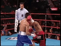 Cotto GIFs - Get the best gif on GIFER