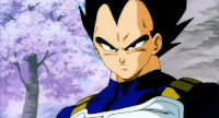 Vegeta GIF - Conseguir el mejor gif en GIFER