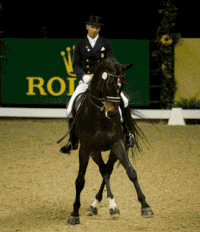 Equestrian GIFs - Get the best gif on GIFER