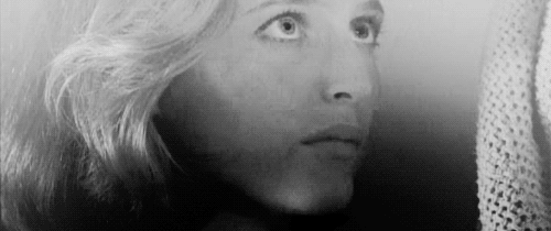 Sorry couldnt resist GIF - Conseguir o melhor gif em GIFER