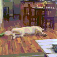 Mailman GIFs - Get the best gif on GIFER