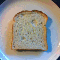 Completion GIFs - Get the best gif on GIFER