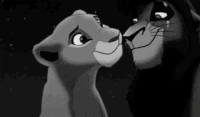 Nala GIFs - Get the best gif on GIFER