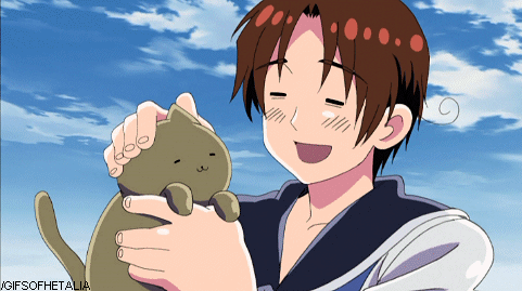 Anime cats italy GIF - Conseguir o melhor gif em GIFER