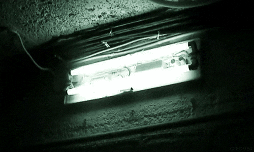 Flickering GIFs - Get the best gif on GIFER