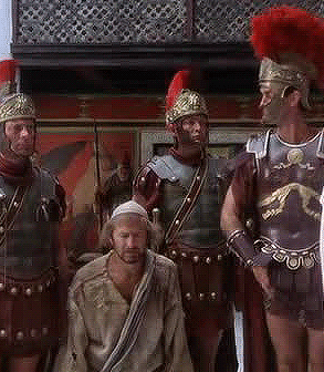 Phyton GIFs - Get the best gif on GIFER