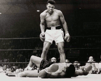 Ali GIFs - Get the best gif on GIFER