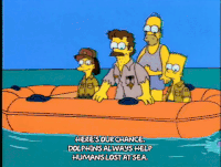 Todd GIFs - Get the best gif on GIFER