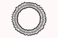 Multiply GIFs - Get the best gif on GIFER