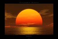 Alabar Al Sol Gif Animado GIF Sol GIF Animado En GIFER De Cordawyn
