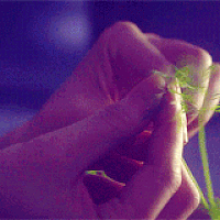 Brunch GIFs - Get the best gif on GIFER