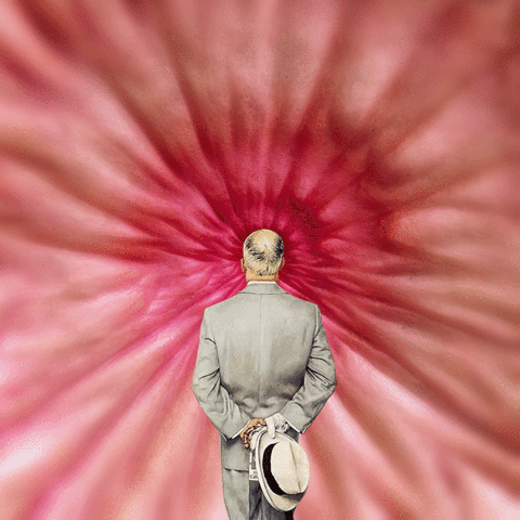Connoisseur GIFs - Get the best gif on GIFER