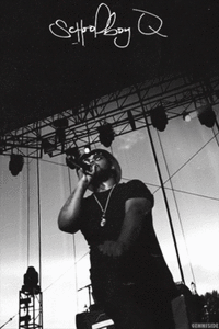 Nardwuar GIFs - Get the best gif on GIFER