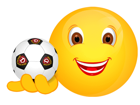 Fussball GIFs - Get the best gif on GIFER