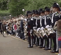 Desfile GIFs - Obtenez le meilleur gif sur GIFER