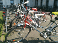 Racks GIFs - Get the best gif on GIFER