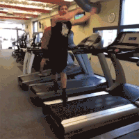 504 GIFs - Get the best gif on GIFER