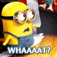 Duda GIFs - Get the best gif on GIFER