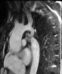 Cardiology GIFs - Get the best gif on GIFER