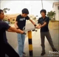 Nut GIFs - Get the best gif on GIFER