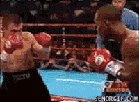 Tko GIFs - Get the best gif on GIFER